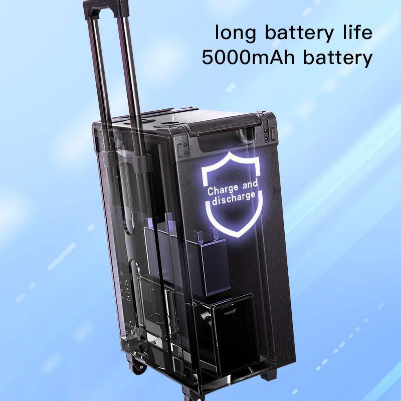 اسپیکر بی سیم قابل حمل یسیدو مدل YSW16 به همراه میکروفون و ریموت کنترل